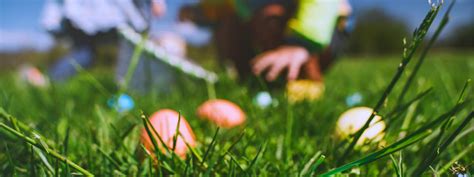 Easter Activities And Events 2024 Island Families