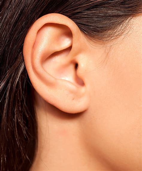 Earlobe Repair In Phoenix Az Warrington Facial Plastic Surgery