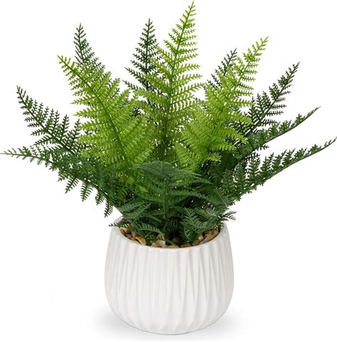 Dilatata Faux Plant Indoor In Ceramic Pot 12 Artificial