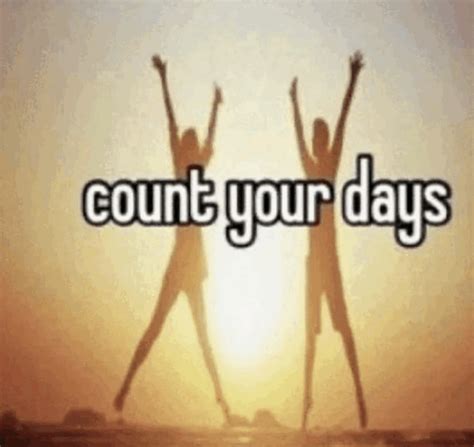 Count Your Days Meme Count Your Days Discover And Share S