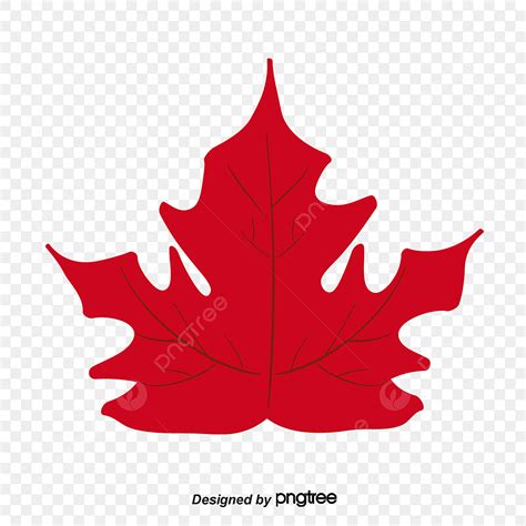 빨간 단풍 일러스트 메이플 리프 클립 아트 단풍잎 Png 그림 Png 일러스트 및 Psd 이미지 무료 다운로드 Pngtree