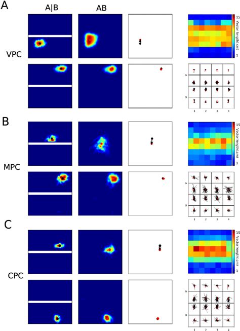 Place Fields In The Merged Room Experiment A Left Receptive Fields