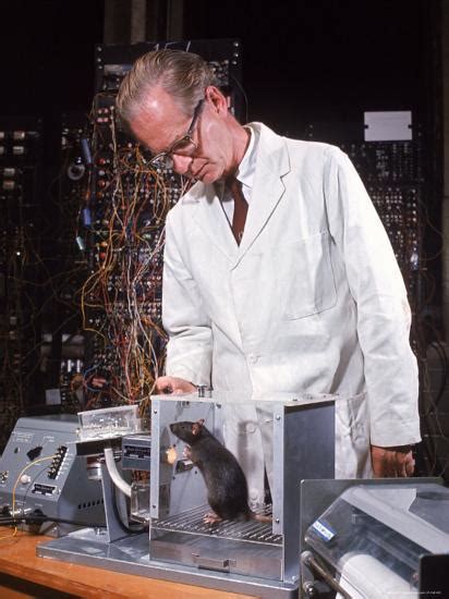 B Frederic Skinner At Harvard Training Rat In Skinner Box To Press