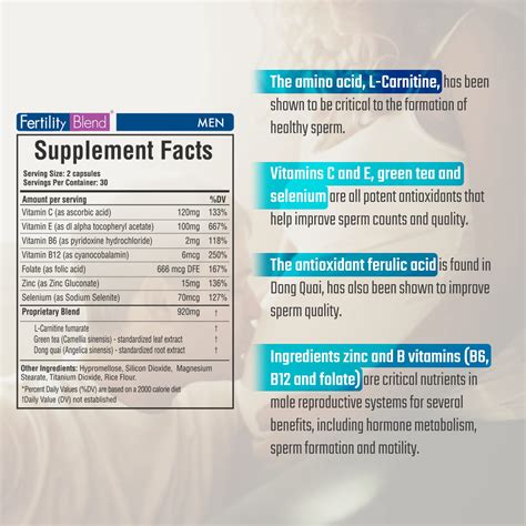 Fertility Blend Daily Wellness For Men Male Fertility Supplement