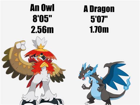 Poor Tiny Charizard Rpokemonmemes