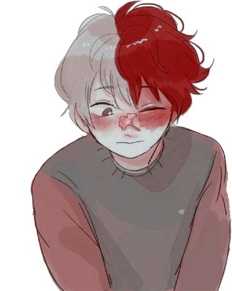 Todoroki Png Images 100