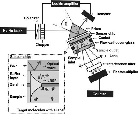 Optical Setup Of A Sensor Based On The Angular Spectroscopy Of LRSPs Download Scientific