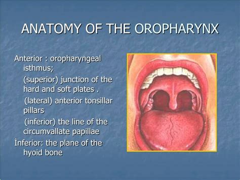 Ppt Diseases Of The Oral Cavity Powerpoint Presentation Free
