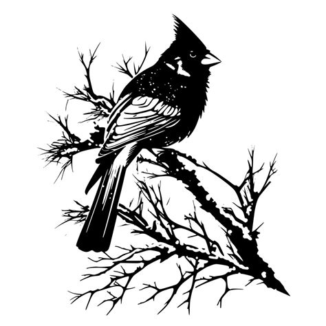 Cardinal On A Snow Covered Branch Creative Meadow