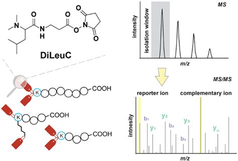Development Of Novel Isobaric Tags Enables Accurate And Sensitive Multiplexed Proteomics Using
