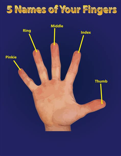 Clipart Finger Names Poster All For One