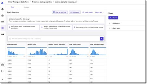 Use Natural Language To Explore And Prepare Data With A New Capability