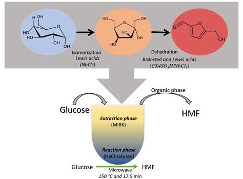 Conversion Of Glucose To 5 Hydroxymethylfurfural Using Consortium