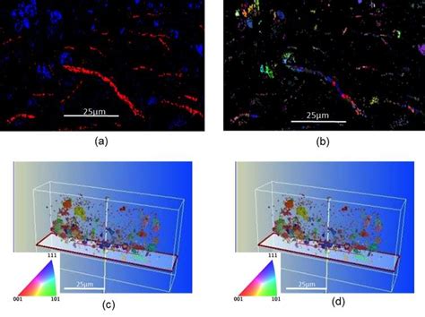 2d and 3d ebsd results a block face 2d ebsd phase map of the