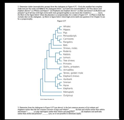 2 Determine Clades Monophyletic Groups From The