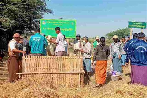 မြစ်သားမြို့နယ် အောင်ချမ်းသာကျေးရွာတွင် သဘာဝမြေဆွေးပြုလုပ်နည်း လက်တွေ့ပ