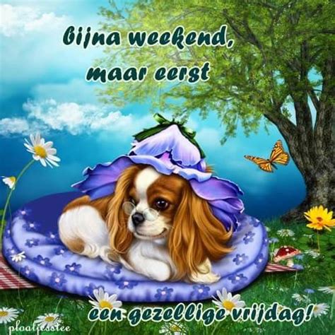 Pin Van Tiny Pits Op Dagen Plaatjes Goedemorgen Honden Vrijdag