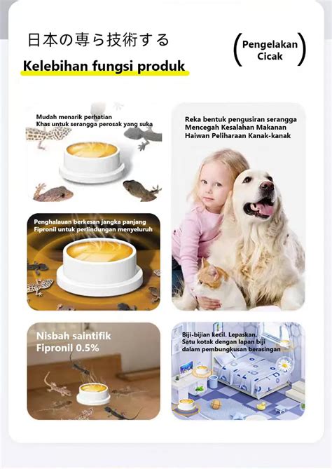 Lizard Dies And Air Dries After Eating Lizard Killer8pcsboxlizard