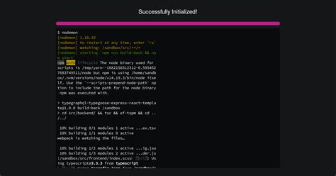 Typegraphql Typegoose Express React Template Forked Codesandbox