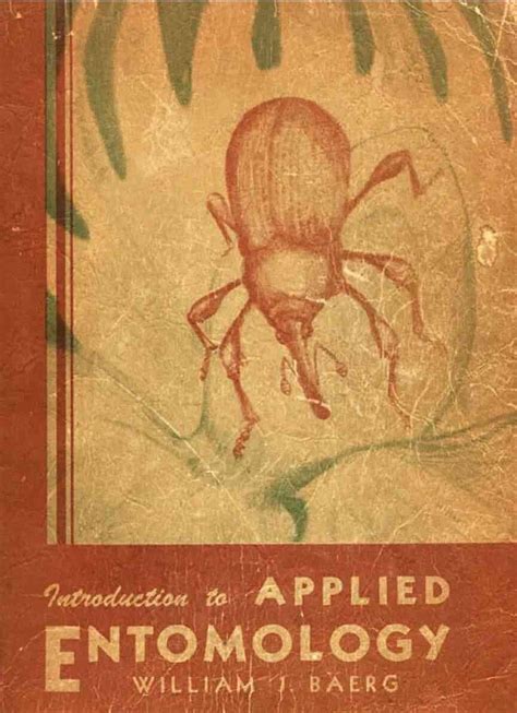 Arkansas A Z Ua Entomologist William Baerg Tested Effects Of Spider