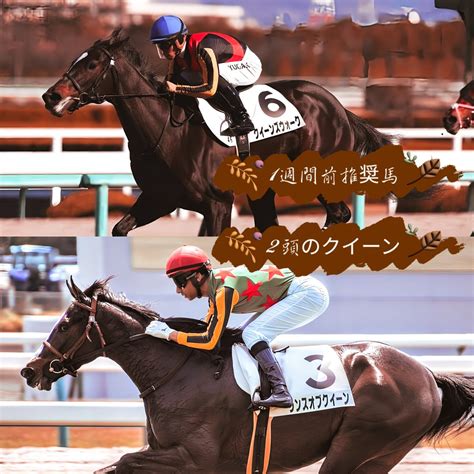 ランスオブクイーン Results On X Live Posts And Updates