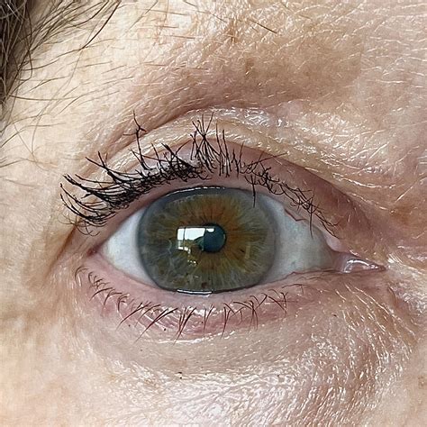 What Color Are My Moms Eyes Scrolller