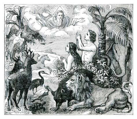 800 Adam And Eve Stock Illustrations Royalty Free Vector Graphics