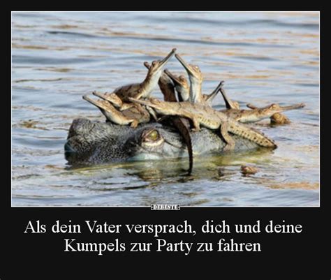 Als Dein Vater Versprach Dich Und Deine Kumpels Zur Party Zu Fahren