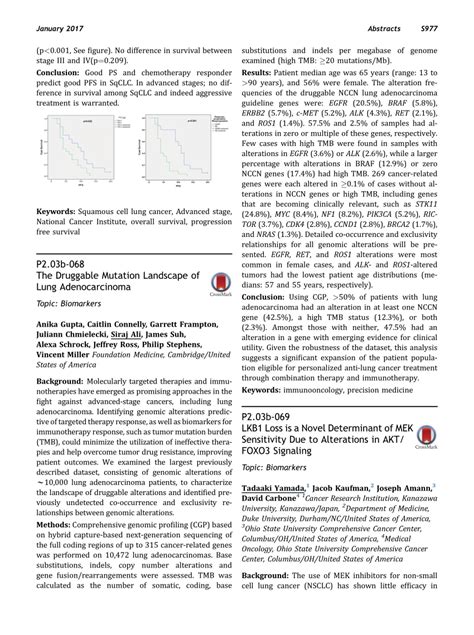 Pdf P203b 068 The Druggable Mutation Landscape Of Lung Adenocarcinoma