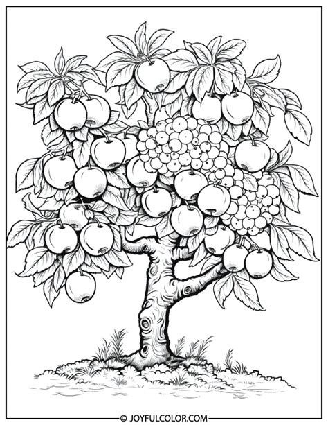 Fruit Tree Coloring Pages Easy To Print FREE Download