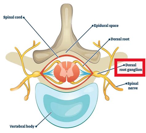Shingles And Your Nerves Emg Solutions