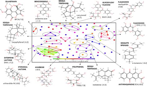 Structure Activity Relationship Sar Correlation Of Canonical Smiles Download Scientific