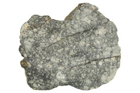 2 25 Eucrite Meteorite 96 G Section From 4 Vesta Minor Planet 304273 For Sale