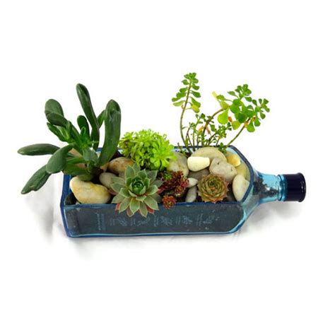 Bombay Sapphire Bottle Succulent Planter Bellechic