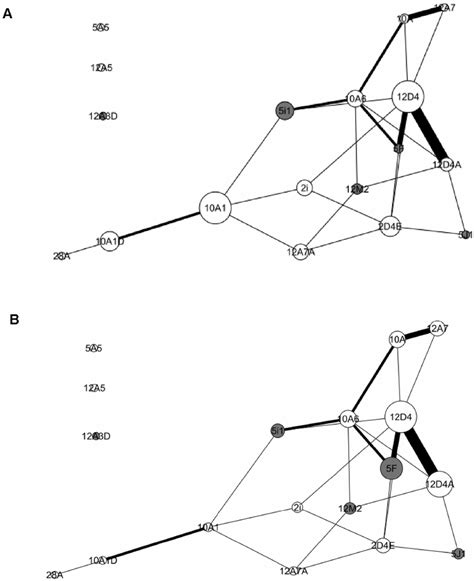 Representation Of The Contact Network Nodes Represent Individuals