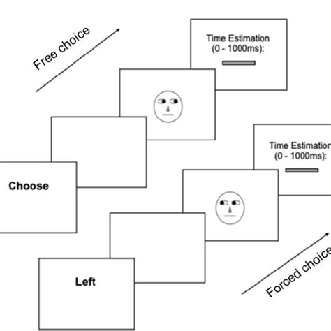 Time Interval Estimation Task Procedure Download Scientific Diagram