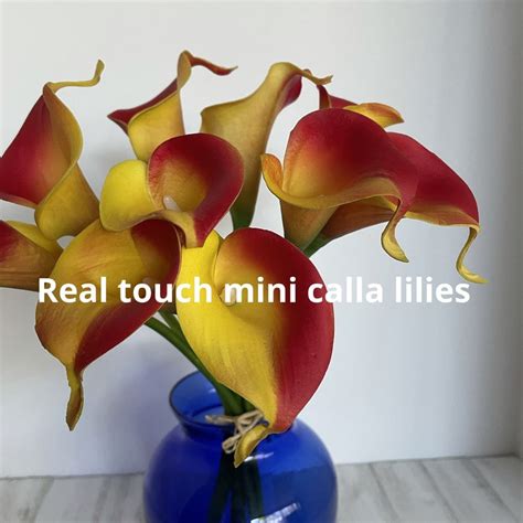 Mini Calla Lily Etsy