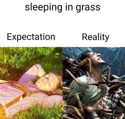Sleeping In Grass R Memes