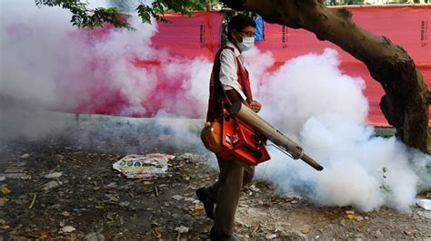 Më Shumë Se 1000 Të Vdekur Nga Ethet E Dengës Në Shpërthimin Më Të