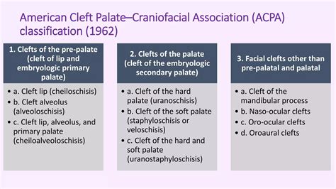 Cleft Lip And Palate Pptx