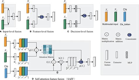 Frontiers Smmf A Self Attention Based Multi Parametric Mri Feature Fusion Framework For The