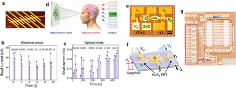 Charge‐related Imds Vacancy And Capacitor Transistor Types Vacancy Download Scientific