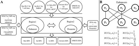 A The Process Of Generating Ieps Using The Chromatin Interaction Data Download Scientific