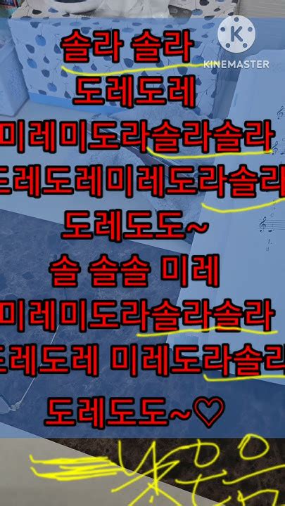 🇰🇷🇰🇷 아리랑 계이름~저음 연습곡 Youtube