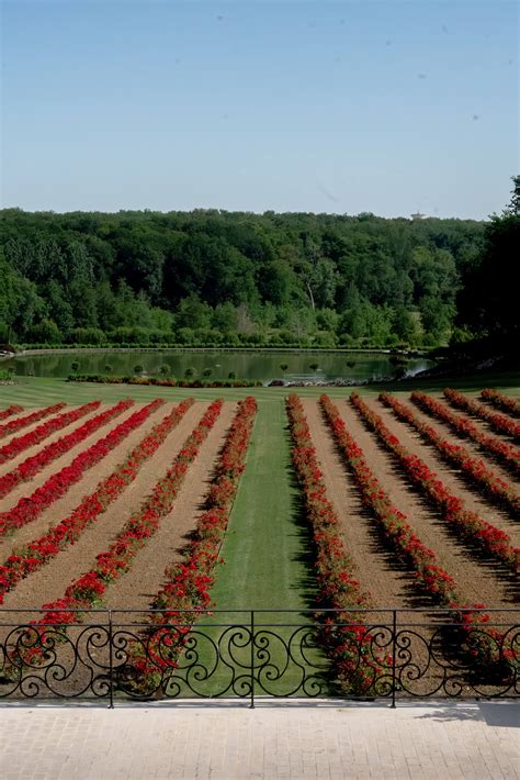 Les Essences Merlot Château De Sours
