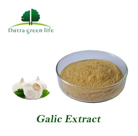 China Organic Garlic Extract Manufacturers Factory Wholesale Service