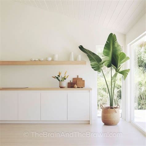 Solid Backsplash Behind Stove The Genius Hack That Saves You Scrubbing