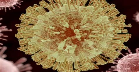 Polk County Man Contracts Zika Virus Through Sex