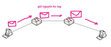 Mismatch Native Vlan Có Nguy Cơ Gì Không