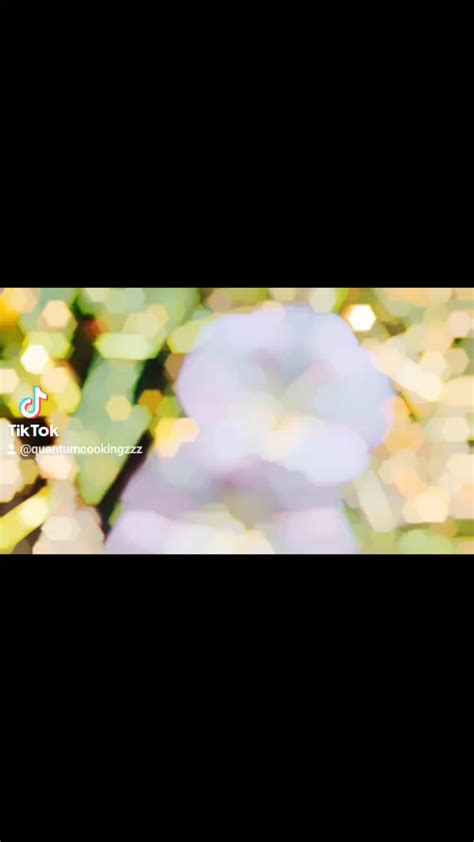 Cursedflower 🌹🌻🌸🌼🏵 Rcursedvideomemes